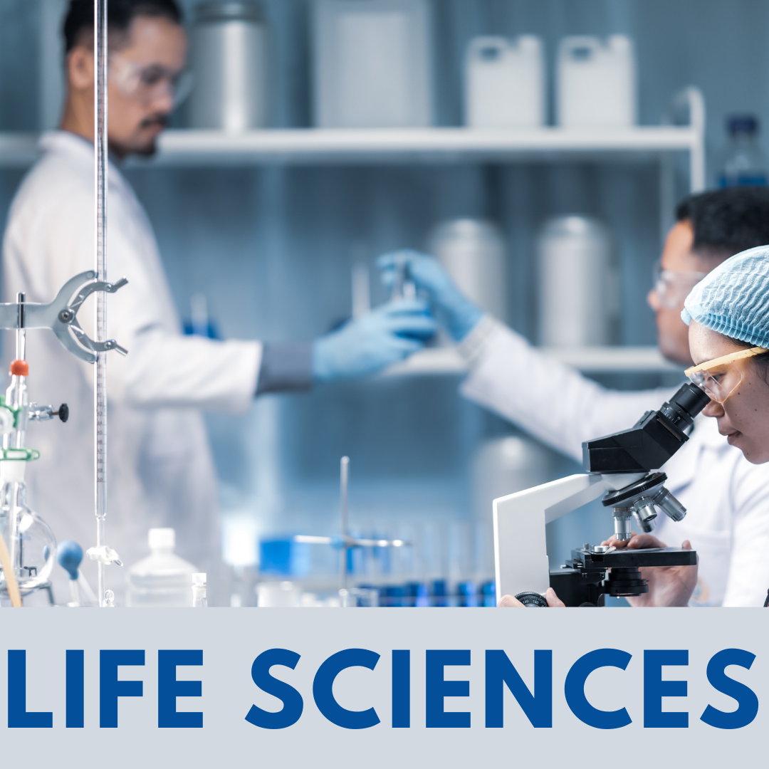 The Life Sciences Health Tech Venture Studio Arrives: Launchit Ventures | London Economic ...